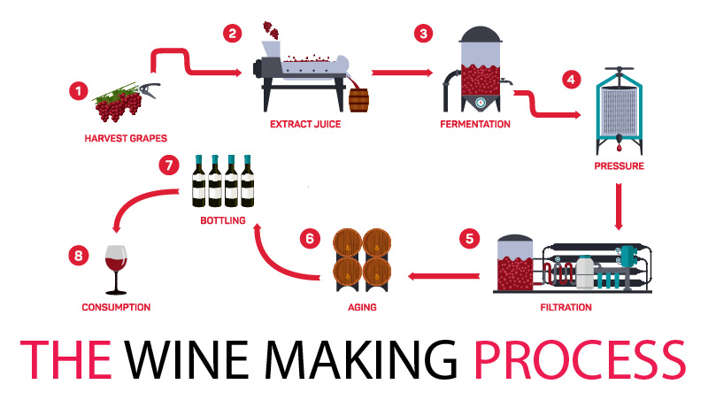 The Wine Making Process and the Perfect Pour | OHAUS